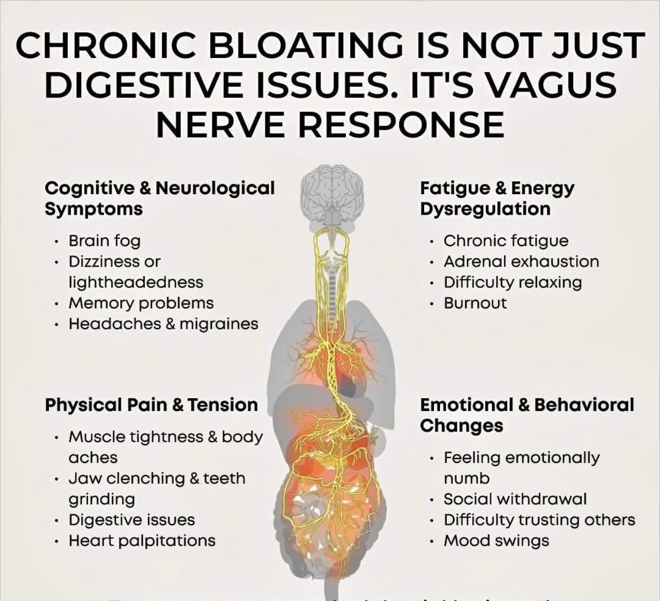 The Healing Powers of Your Vagus Nerve – Firefly Somatics™