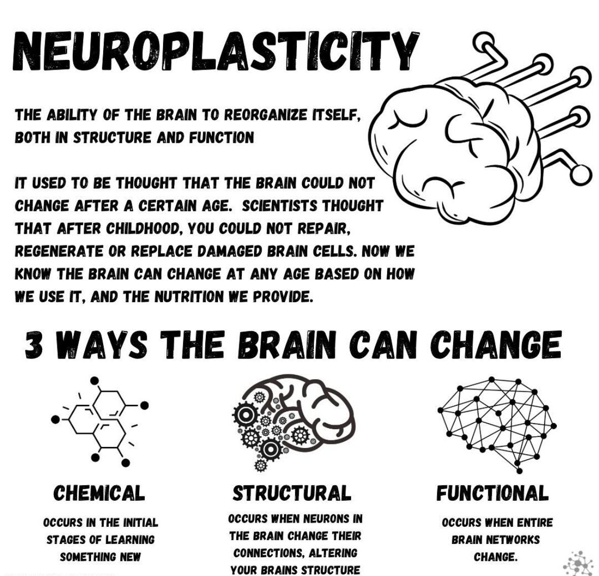 Neuroplasticity: Your Nervous System’s Ability To Change – Firefly ...