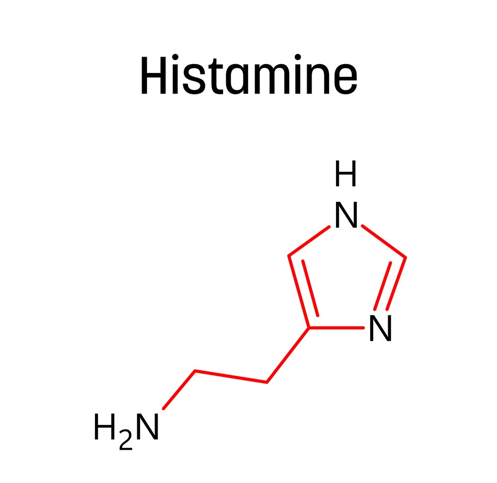 Histamine and Hives: Stress & Neuroimmunology – Firefly Somatics™